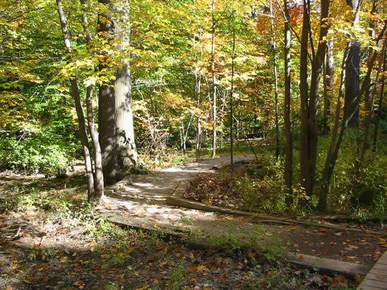 trail - Nature Center at Shaker Lakes