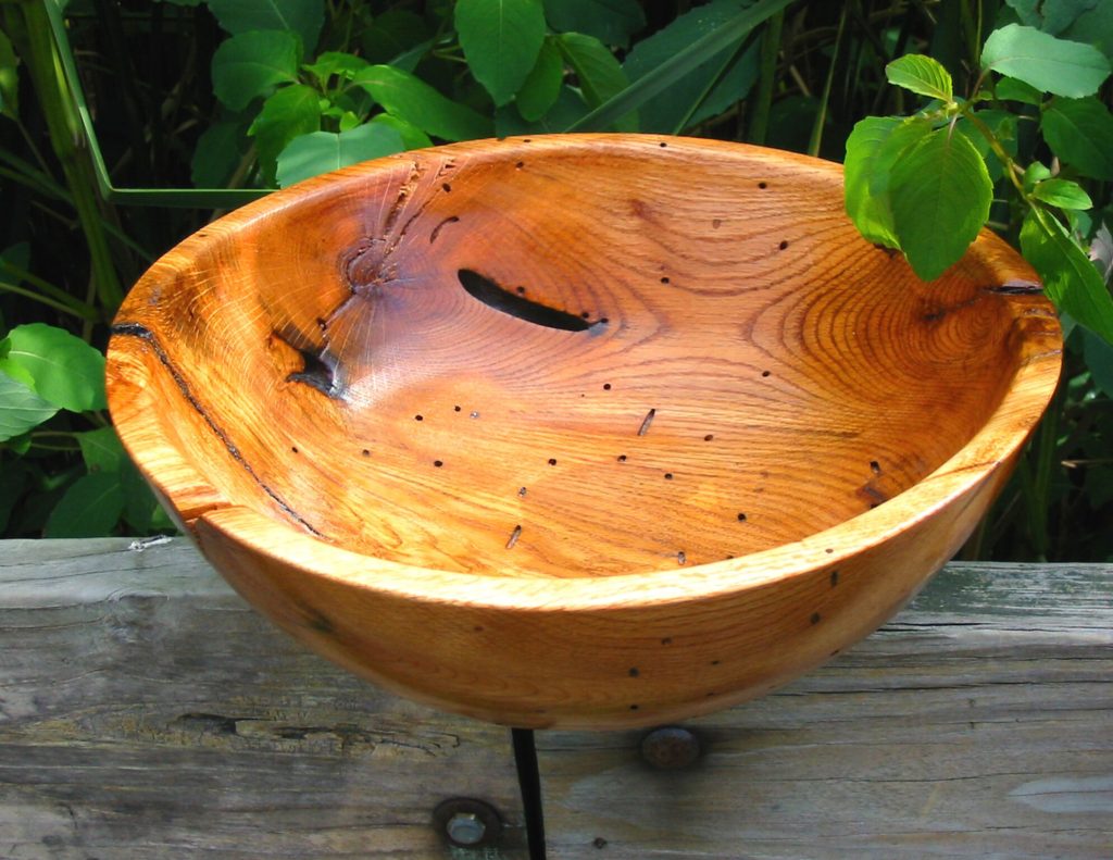 One Tree Project - Nature Center at Shaker Lakes