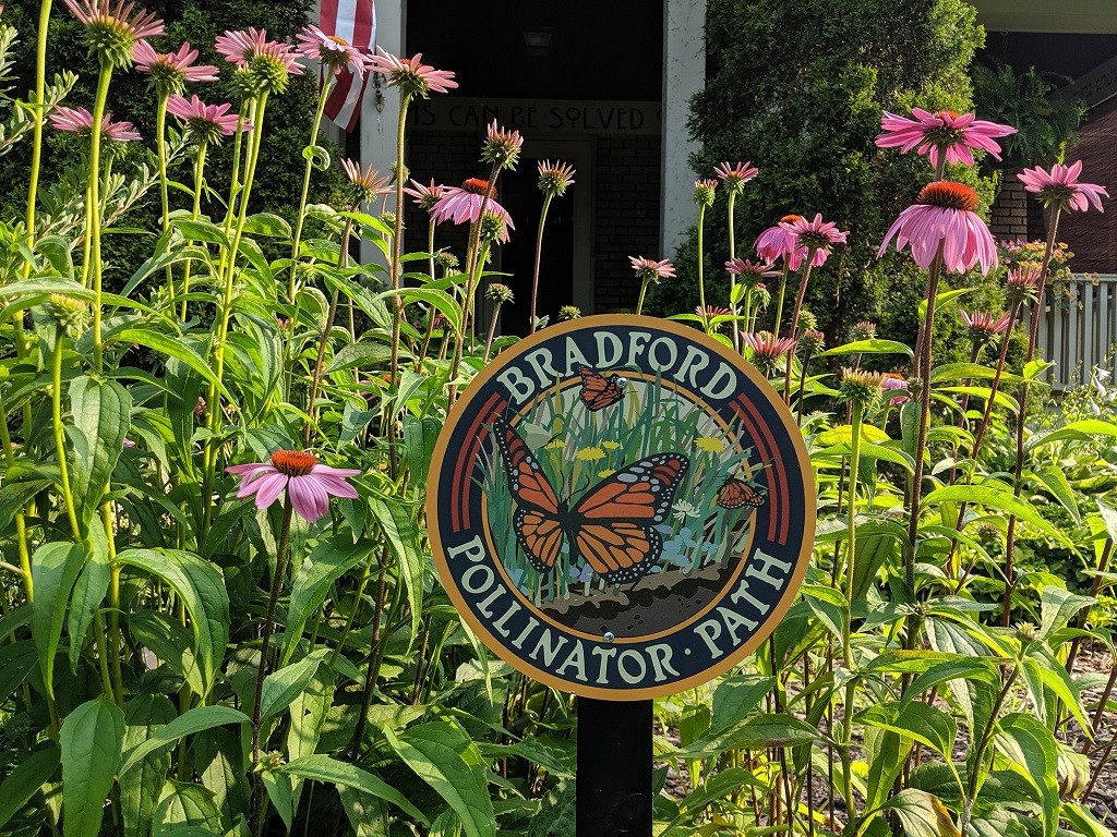 Pollinator Path - Nature Center at Shaker Lakes