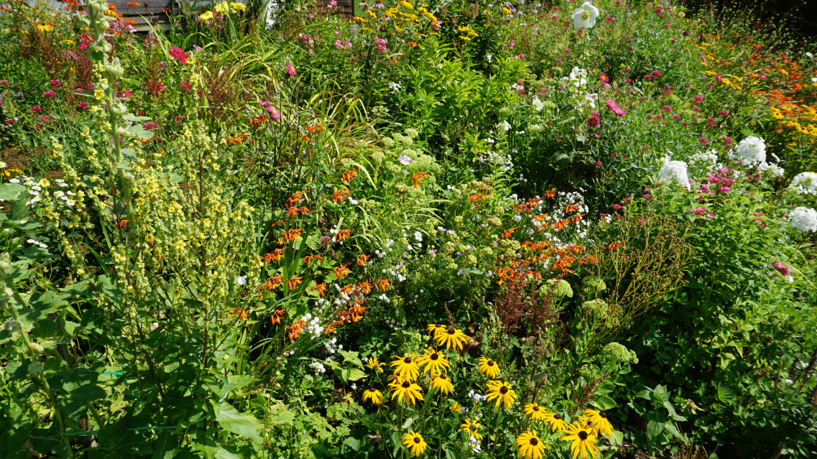 Native Garden 101 - Nature Center at Shaker Lakes