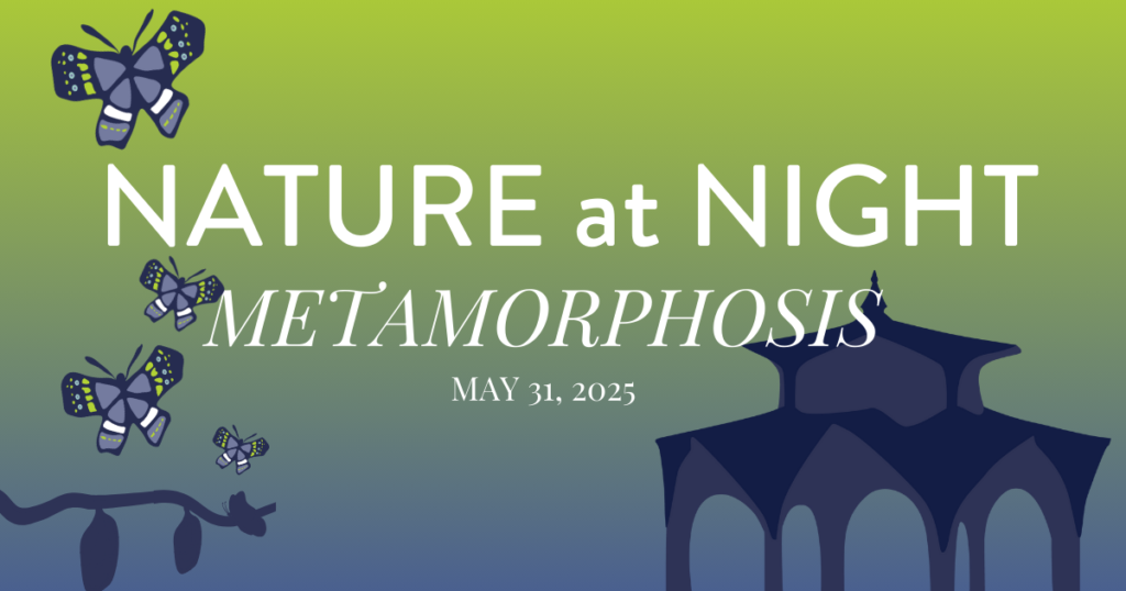 Nature at Night: Metamorphosis - Nature Center at Shaker Lakes