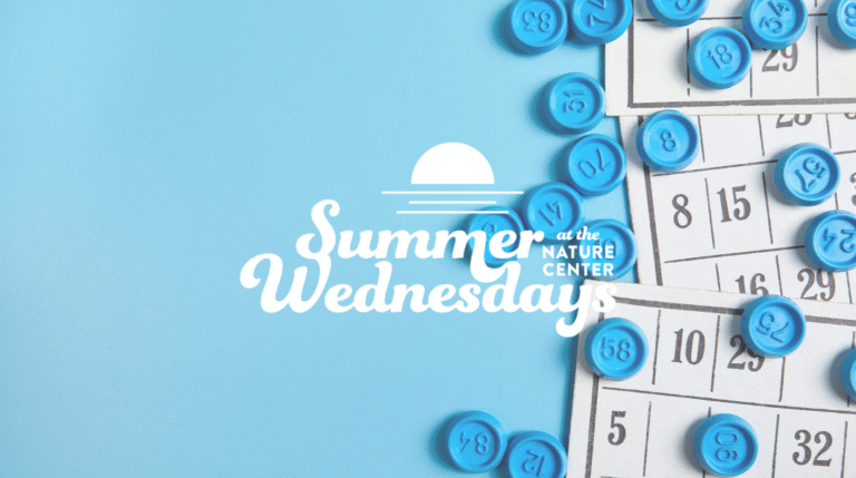 Summer Wednesdays: Game Night - Nature Center at Shaker Lakes