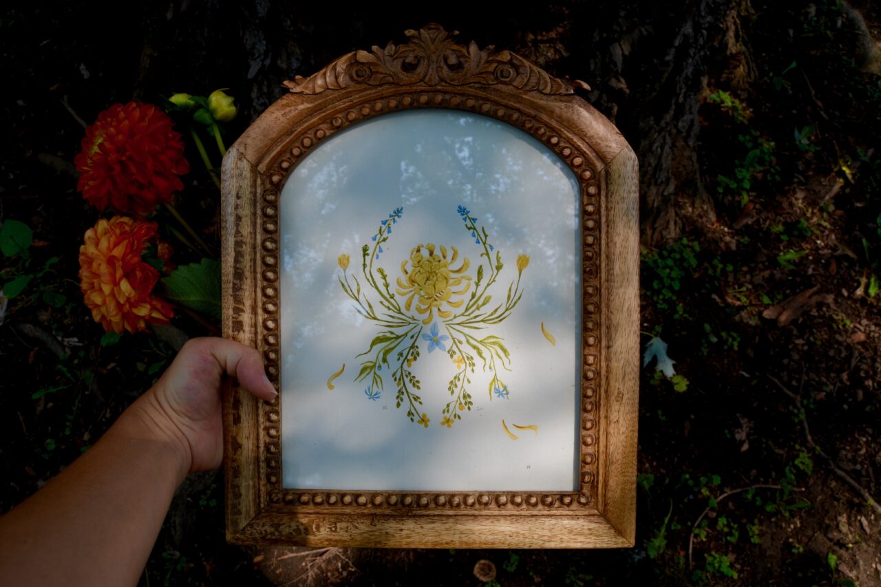 chitinandchlorophyll_spider - Nature Center at Shaker Lakes